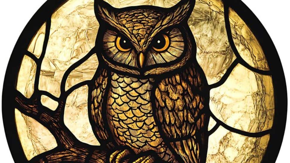 Why Goddess Lakshmi Rides On Owl? Know Secrets From Streets Of Kashi ...