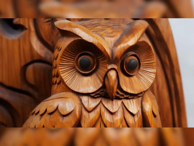 Why Goddess Lakshmi Rides On Owl? Know Secrets From Streets Of Kashi ...