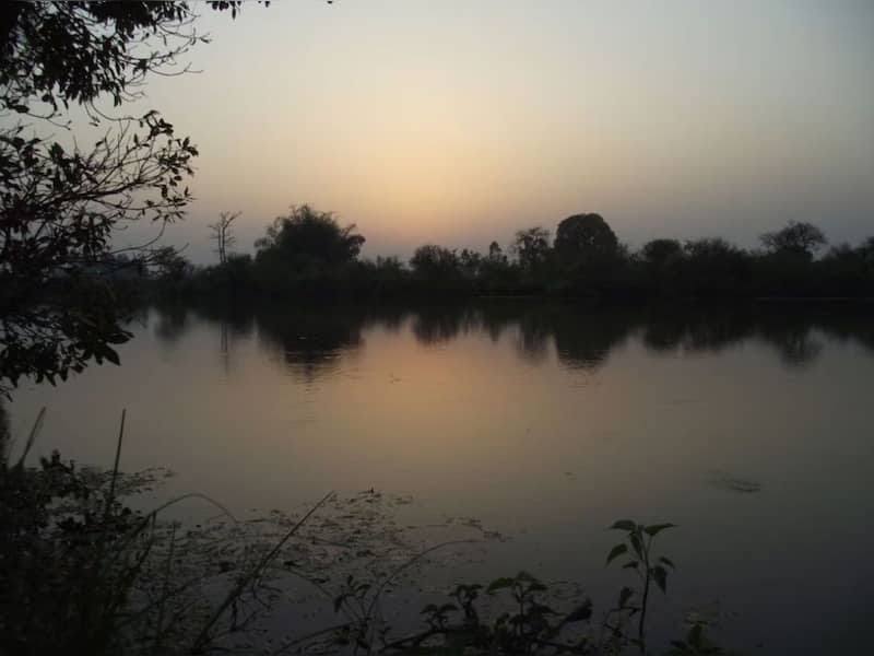 India’s Smallest River: How THIS River In Rajasthan Was Revived After ...