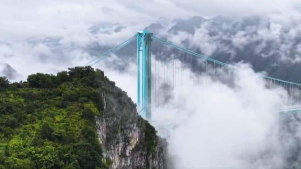 World’s Tallest Bridge Now Open For Public: 625 Meters High, Cuts ...