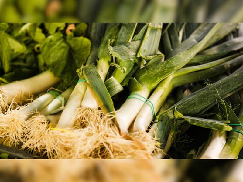 World’s Longest Vegetable Breaks Record: Taller Than An Average Indian ...