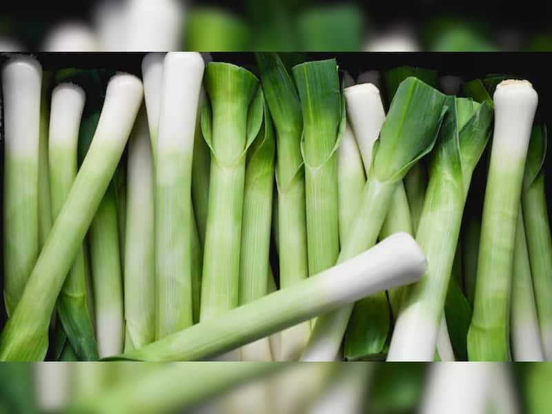 World’s Longest Vegetable Breaks Record: Taller Than An Average Indian ...