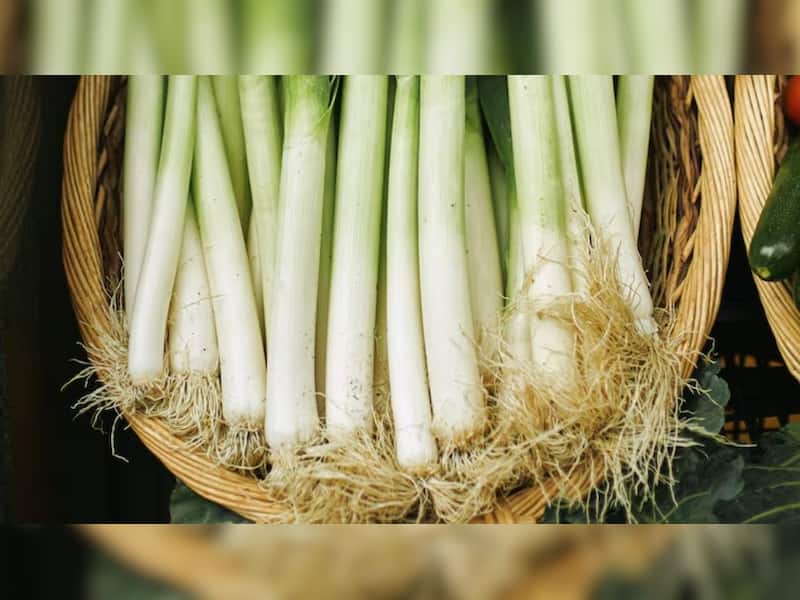 World’s Longest Vegetable Breaks Record: Taller Than An Average Indian ...