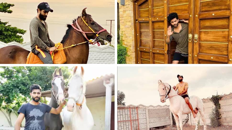 Inside Ravindra Jadeja’s Horse Collection: A Glimpse Into His ...