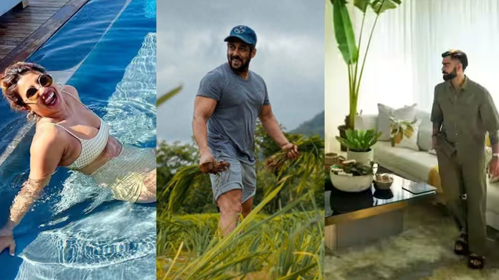 Salman Khan's Rs 80 Cr Worth Panvel Farmhouse To SRK's 6-Bedroom ...