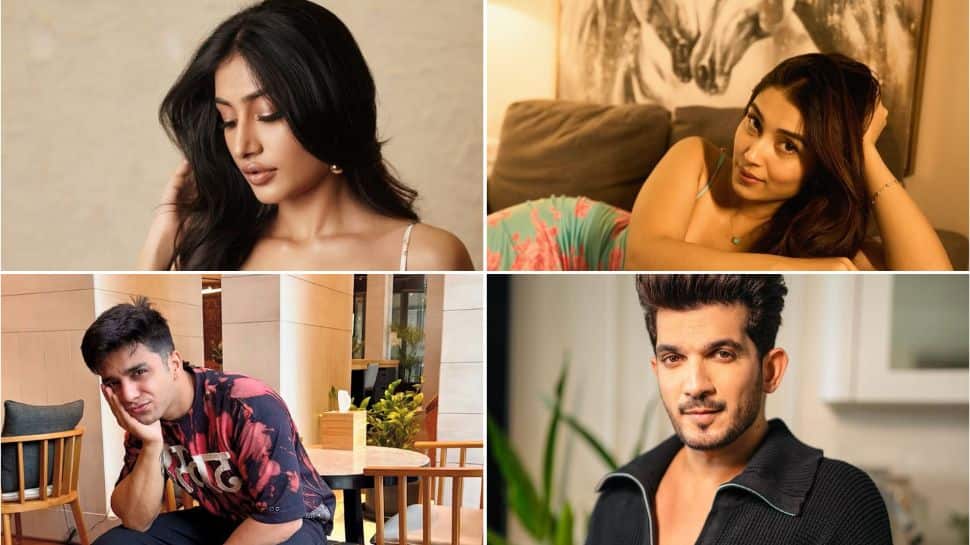 Rise And Fall Contestants And Their Education Qualifications: Aarush ...