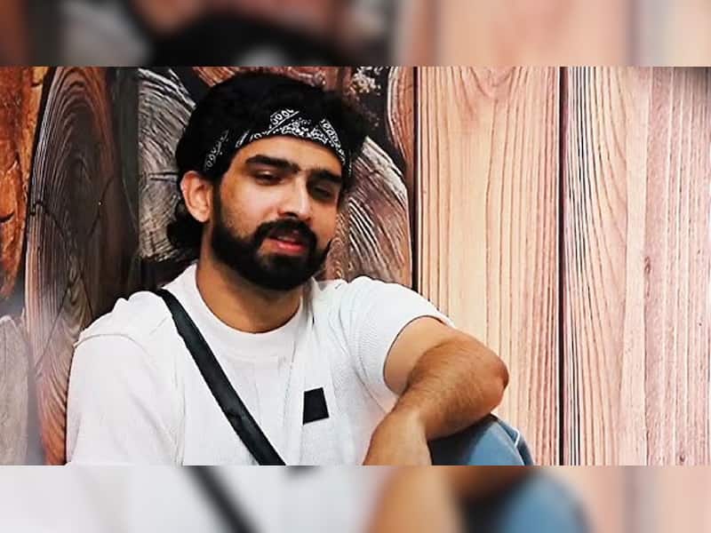 Meet Richest Bigg Boss 19 Contestants: Amaal Mallik To Tanya Mittal ...