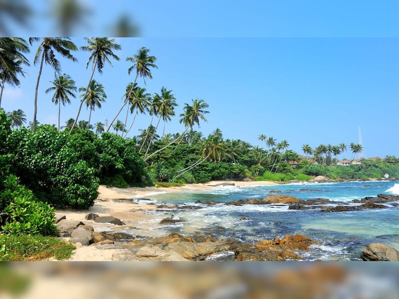 8 Cleanest Beaches Of India You Must Explore: From Gujarat To Kerala ...