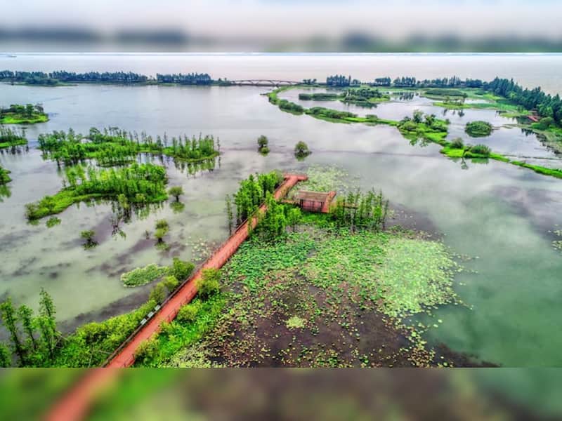 From Majuli To Umananda: Top 5 Islands In India You Must Visit For ...