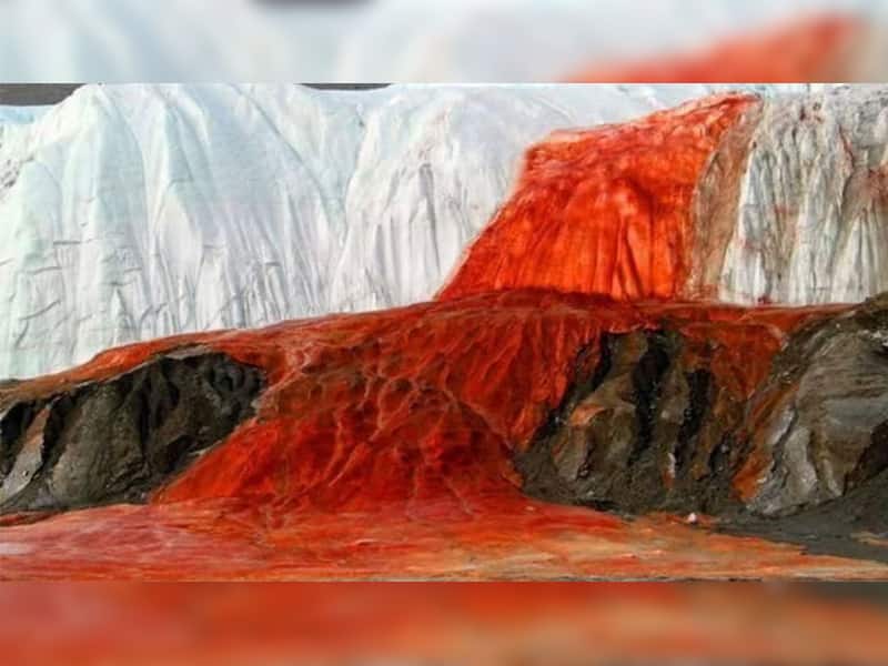 Shocking But True! 7 Unbelievable Things Which Exist In Nature: The ...