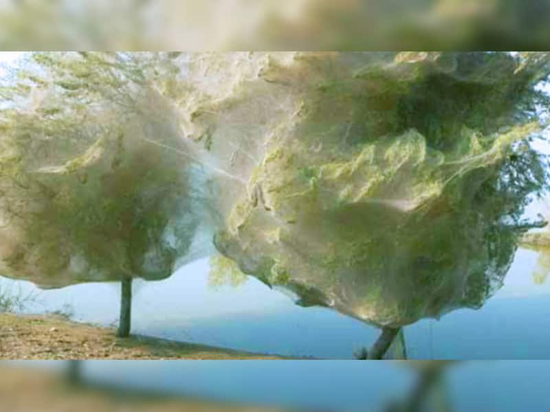 Shocking But True! 7 Unbelievable Things Which Exist In Nature: The Blood Falls In Antarctica To ...