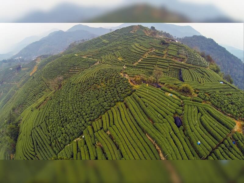 From Misty Peaks To Serene Trails: 5 South Indian Hill Stations Perfect ...