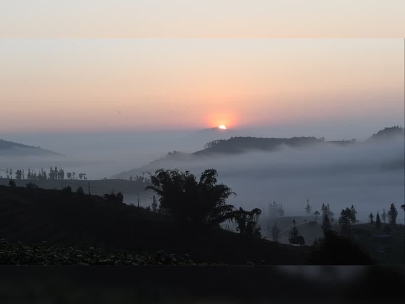 From Misty Peaks To Serene Trails: 5 South Indian Hill Stations Perfect ...