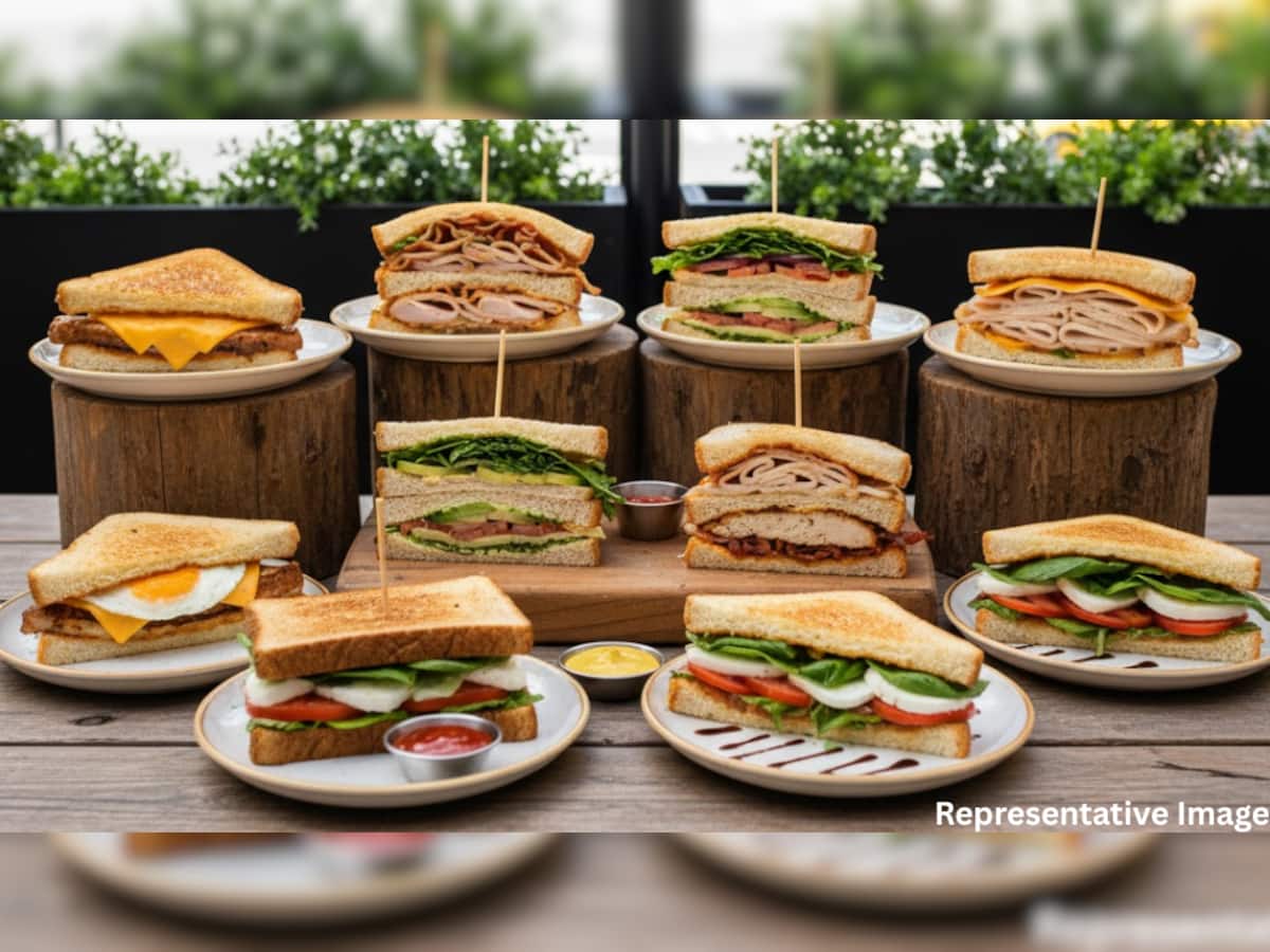 10 Delicious Sandwich Varieties You Need to Try