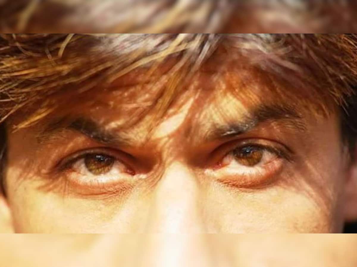 Meet Bollywood Actors Who Cracked IIT Exams But Left Engineering For ...