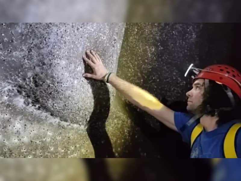 World’s Largest Spider Web: 1,11,000 Spiders In One Place, Spans Half ...