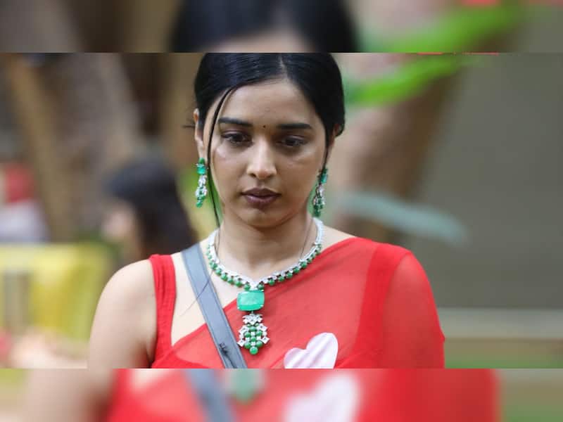 Bigg Boss 19 Contestant Tanya Mittal And Amritesh Mittal's Combined Net ...