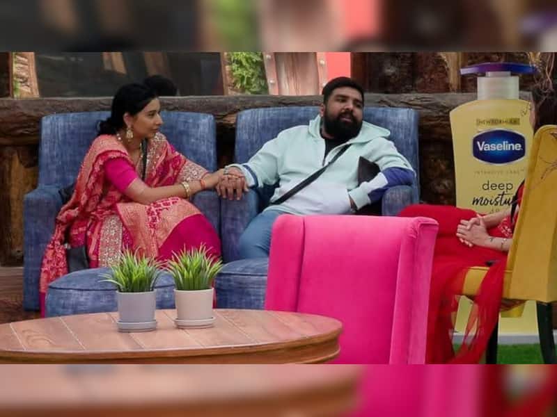 Bigg Boss 19 Contestant Tanya Mittal And Amritesh Mittal's Combined Net ...