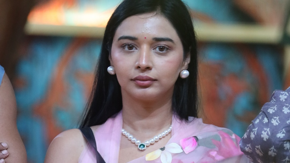 Bigg Boss 19 Contestant Tanya Mittal And Amritesh Mittal's Combined Net ...