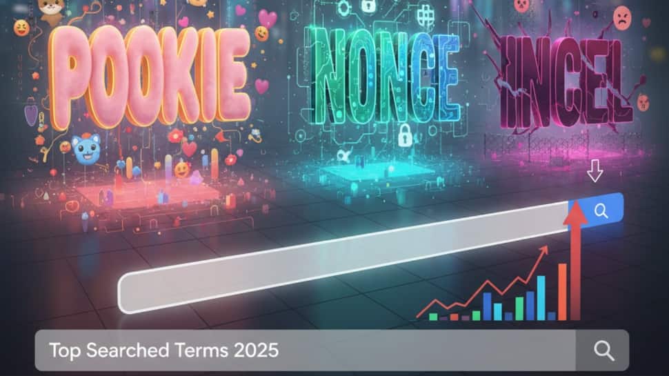 Year Ender 2025: What Is Pookie? Meanings Of 'Nonce' And 'Incel ...