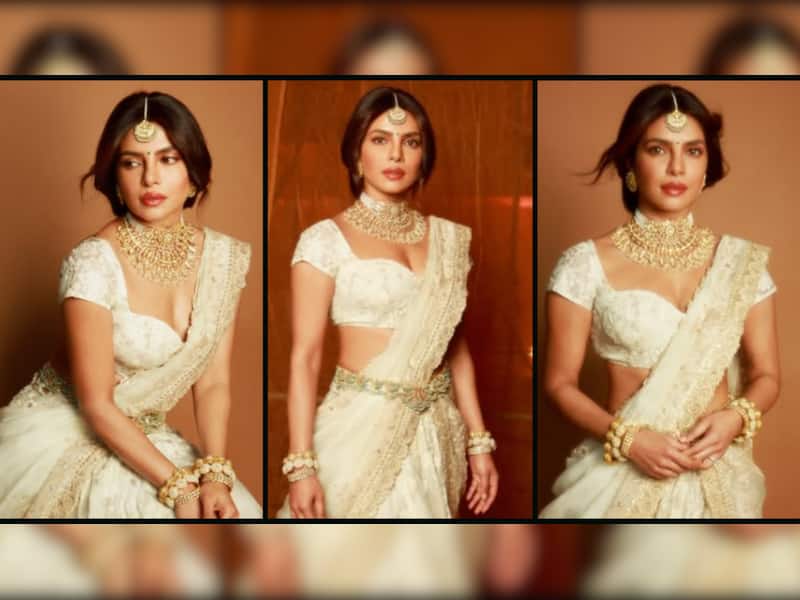 Year Ender 2025: From Enrique Iglesias In Mumbai To Diljit Dosanjh's Met Gala Stage, Indian ...