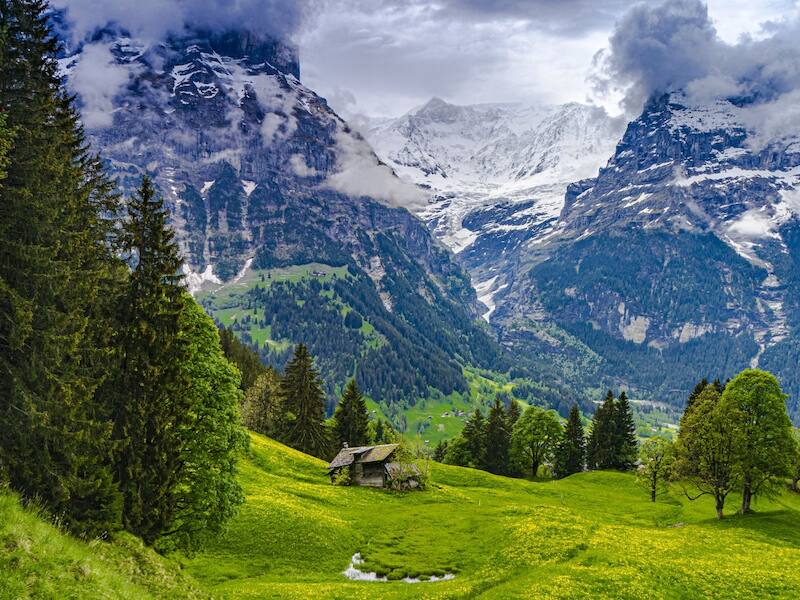 World's Top 10 Cleanest Countries: This Nation With 14 Lakh Population ...