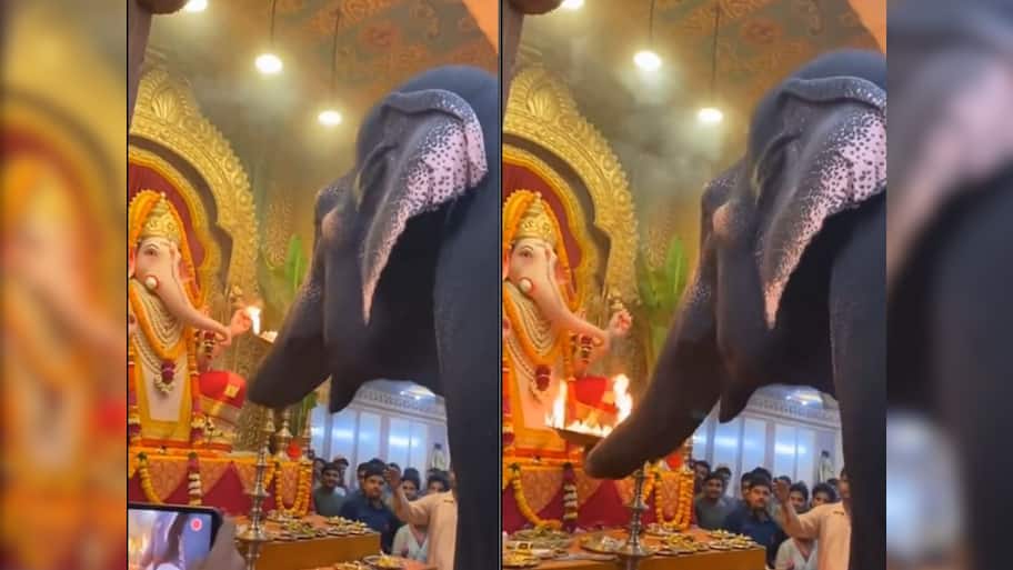 Viral Video Shows Elephant Performing Ganesha Aarti, Netizens Divided ...