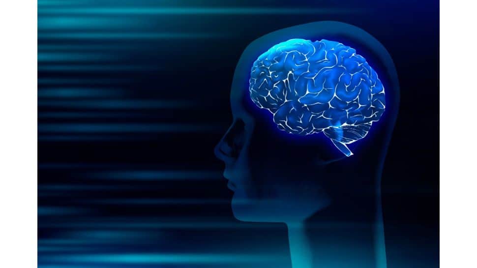 From IQ To EQ – How MyIQ.com Makes Intelligence Testing Feel Personal ...