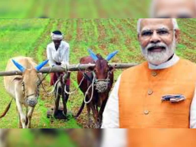PM-Kisan 22nd Installment: Why Some Farmers May Get Rs 4,000 Instead Of ...