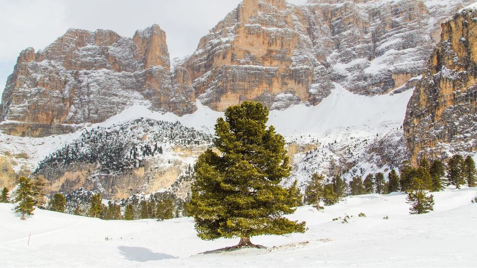 Which Is The World's Coldest Capital? Not Moscow, London Or Tokyo ...