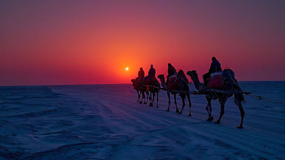 From White Salt Desert To Vibrant Villages: Explore Rann Of Kutch ...