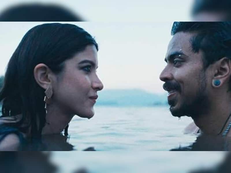 From O’Romeo to Beyond The Kerala Story: Bollywood’s biggest February ...