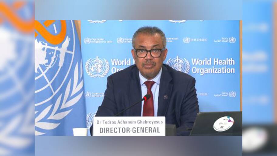 WHO chief warns, 'Nipah is rare but serious'; says cases linked to ...
