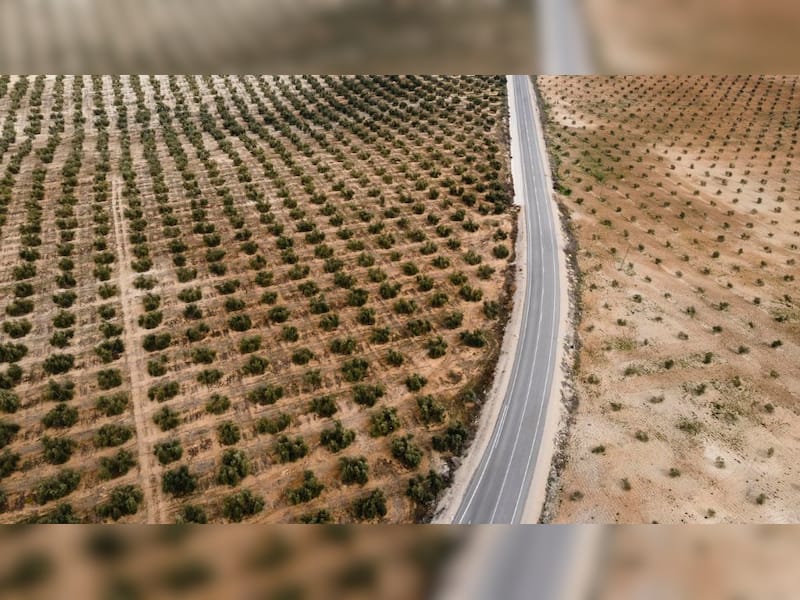 Israel: The desert nation that solved drought and now sells water to ...
