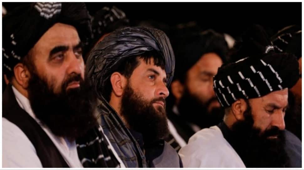 Taliban's new penal code legalises domestic violence, alter justice ...