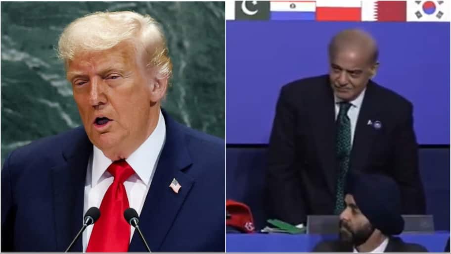 Trump's 'stand up' stunt for Shehbaz Sharif: 2026 Board of Peace summit ...
