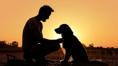Heartbreaking video shows owner breaking down after pet dog’s death ...