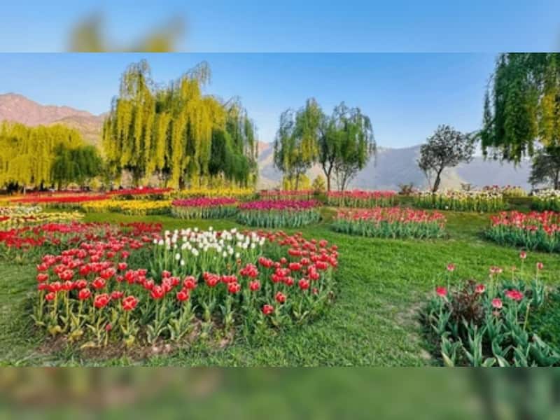 Want to experience India’s most beautiful spring destinations? Here are ...