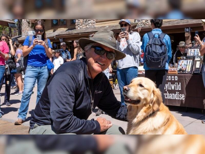 Politics gone to the dogs? Inside the town run by a golden retriever ...