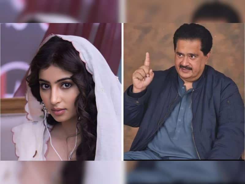Dhurandhar 2: Is Sara Arjun’s Yalina Jamali based on a real story? All ...