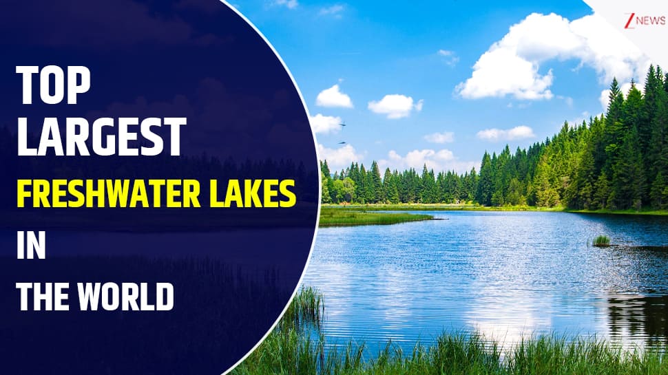 World's top 7 largest freshwater lakes: Located in US, Canada, India ...