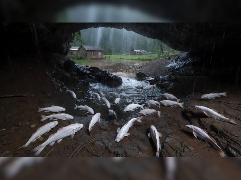 Nature's most bizarre mystery: The town where it's been raining fish ...