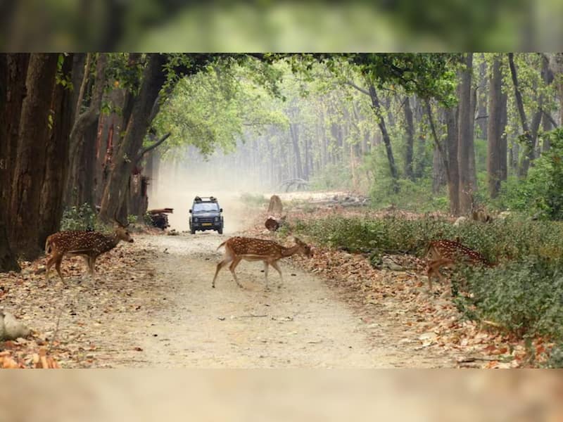 Neither Uttar Pradesh, nor Uttarakhand; this state has the highest ...