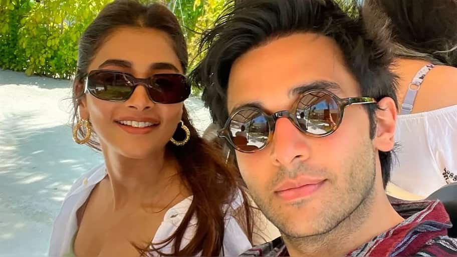 Hot Scoop: Is Pooja Hegde dating a Bollywood actor? | People News | Zee ...