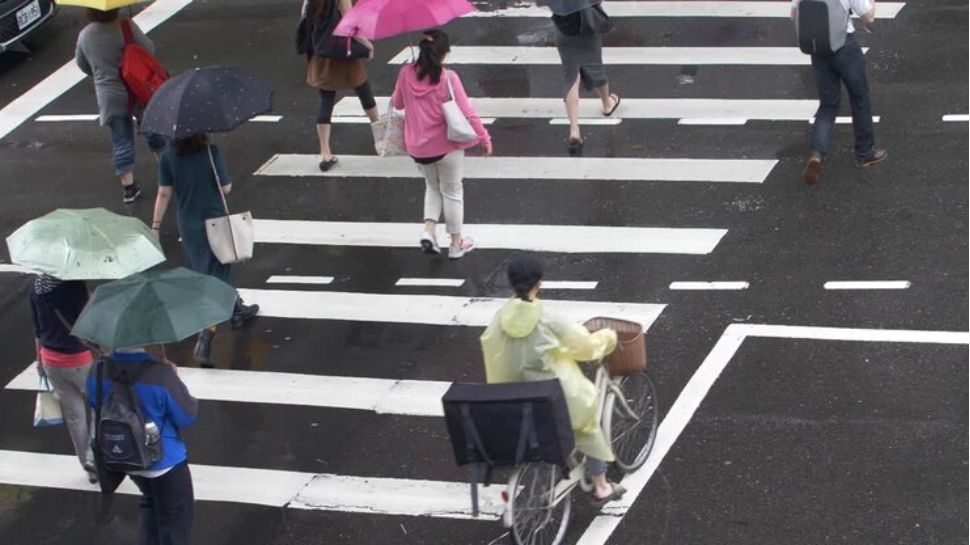 Why are zebra crossings only black and white in colour? Why not yellow ...