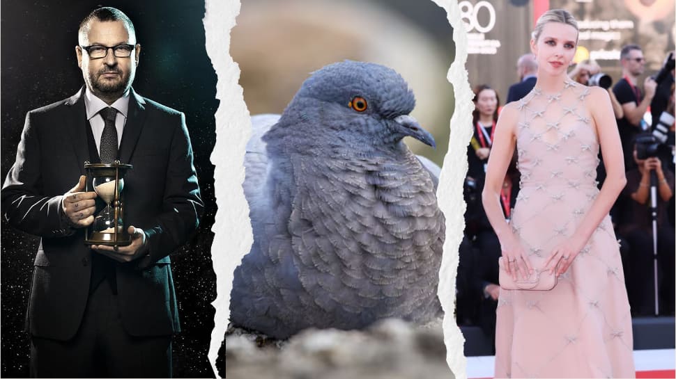 Biggest controversies in Cannes Film Festival history: Fake pigeon ...