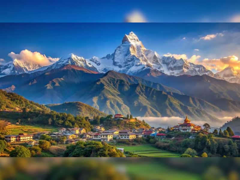 Largest mustard seed producer in the world revealed; India is not ...