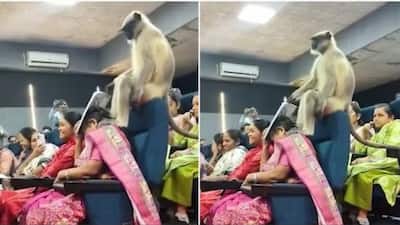 Uninvited guest: Wild monkey crashes census training session in Gujarat ...