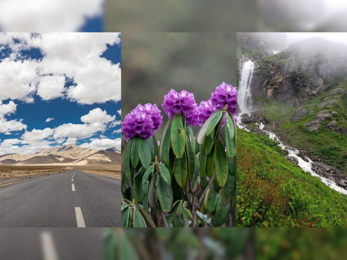 Travel through 4 seasons in one journey? Try these 5 road trips in India