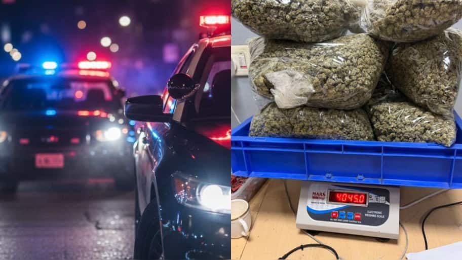Delhi Airport customs seize hydroponic weed worth Rs 1.42 crore from ...